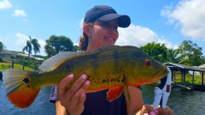 Lake Ida Fishing – Tactics, Seasons & Guides in | Bass Online