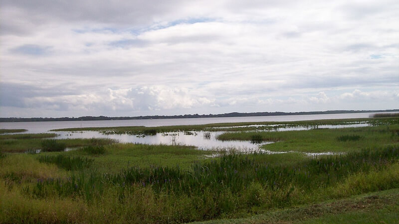 Florida / Bass Fishing - The Complete Guide. Voted #1 Freshwater ...