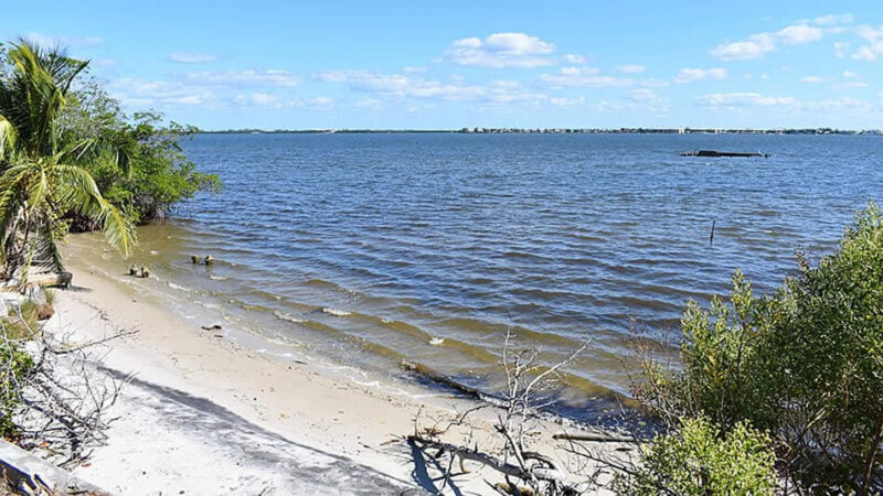 Indian River Fishing: Pro Guide and Fishing Report for 2021