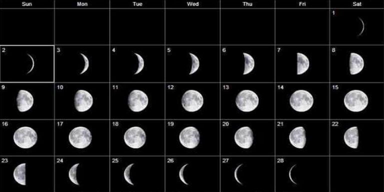 Maximizing Your Catch: Bass Fishing Moon Phase Tips