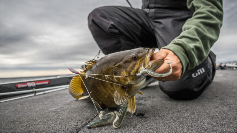 Mastering the Alabama Rig: 7 Beginner Tips to Success